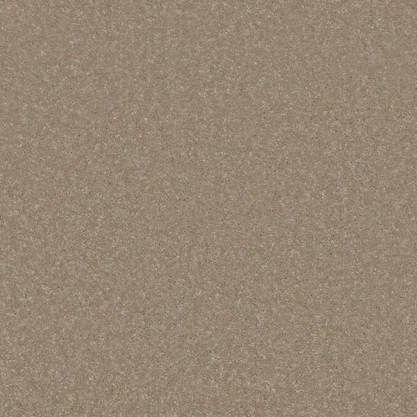 Trident - Amber Clay - Carpet Next Day