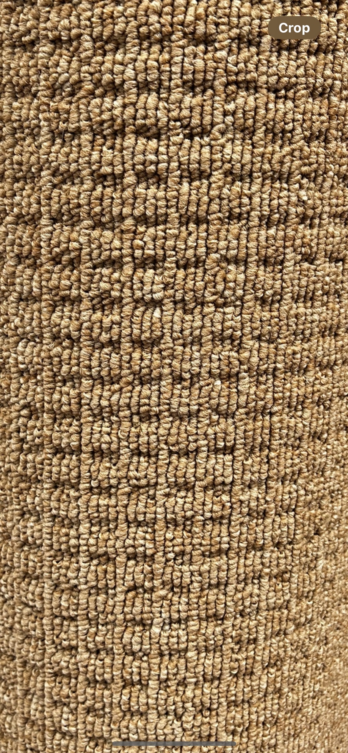 2.90m x 4m Brown Loop - Carpet Next Day