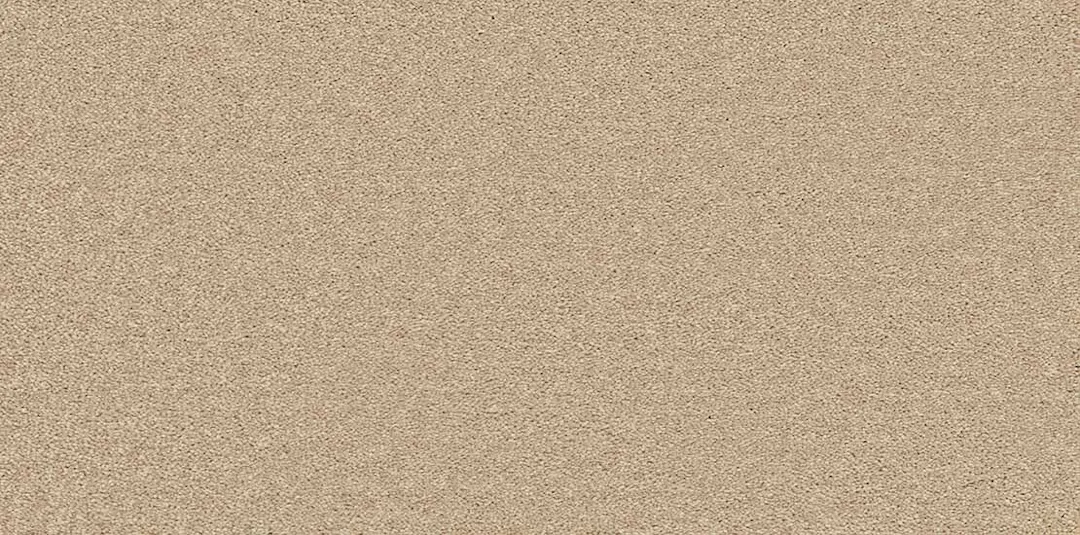Enchantment Elite Clouded Beige 2070 - Carpet Next Day