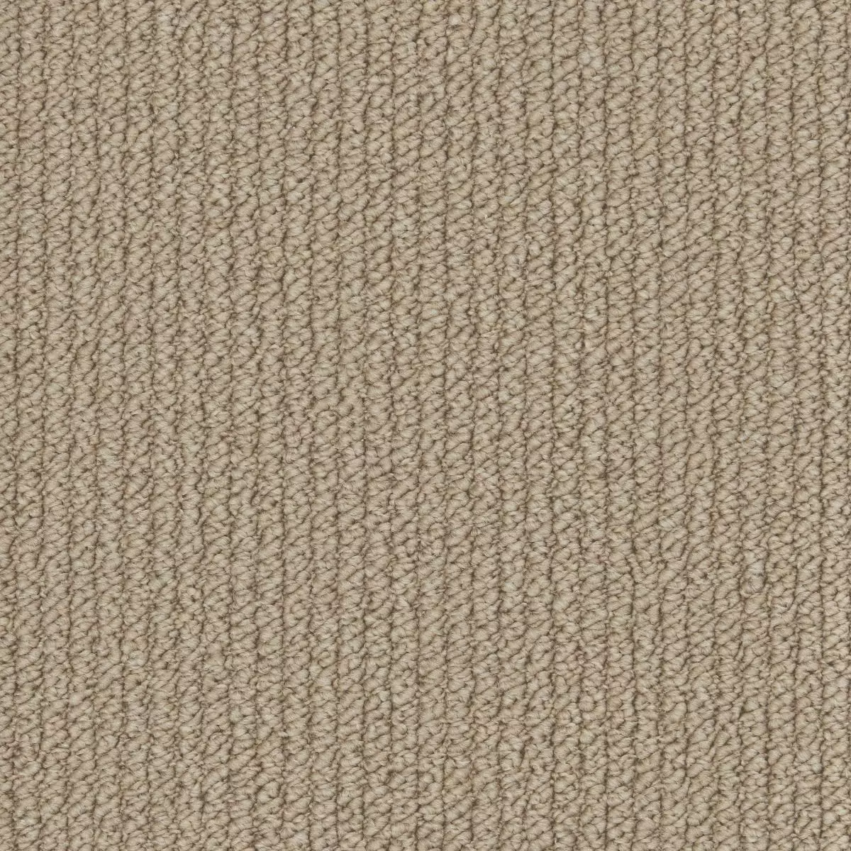 Primo Textures - Antelope - Carpet Next Day