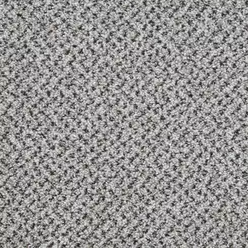 Primo Tweeds - New Moon - Carpet Next Day